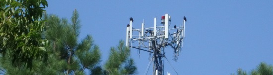 About Flash Technology