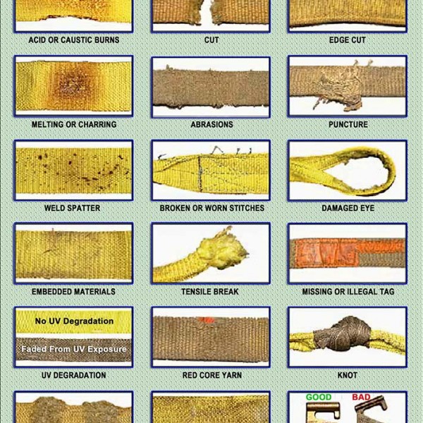 Environment oftentimes weaves dangerous webbing, a Planning Advisory ...